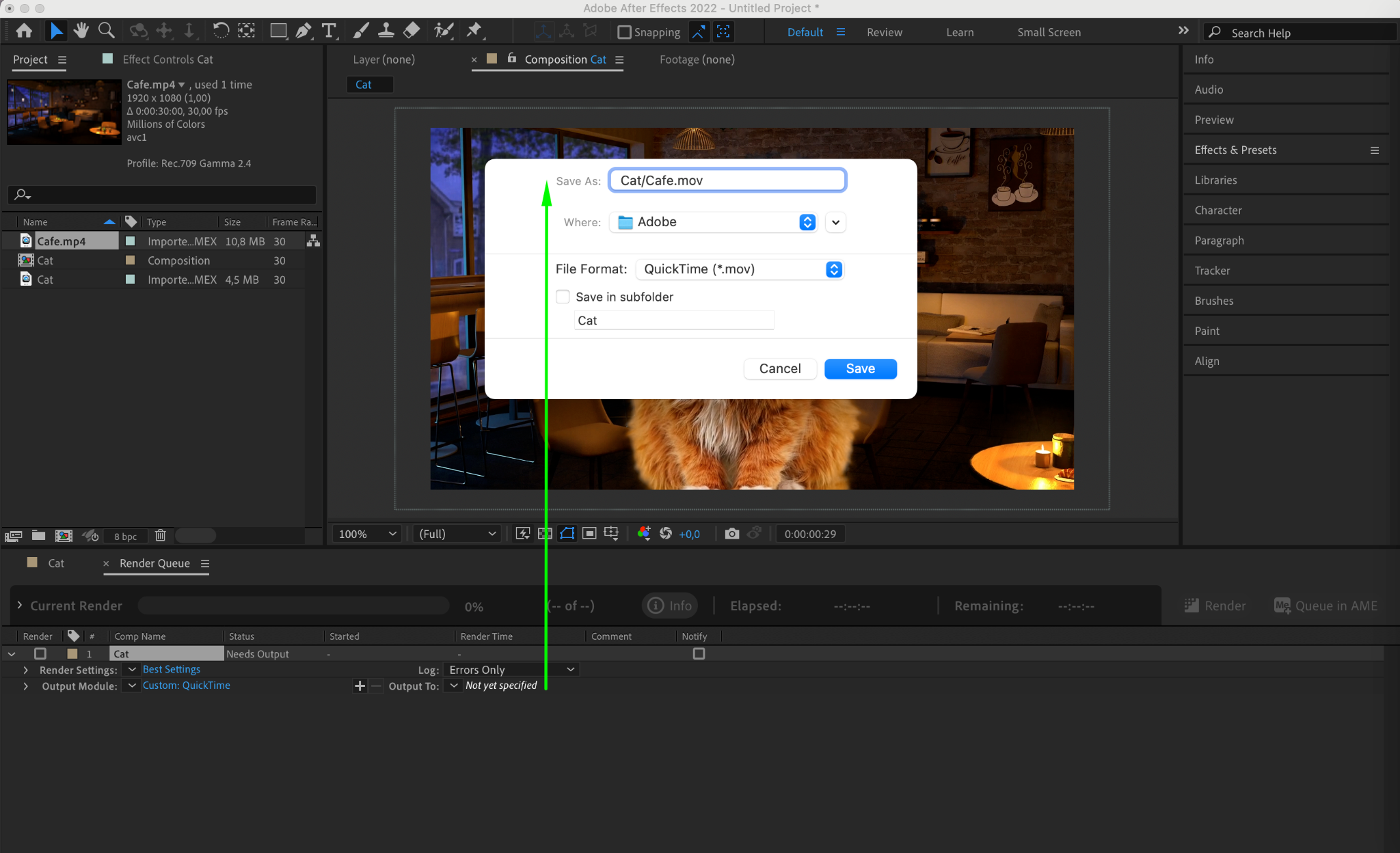 How to get rid of green screen after effects - AEJuice